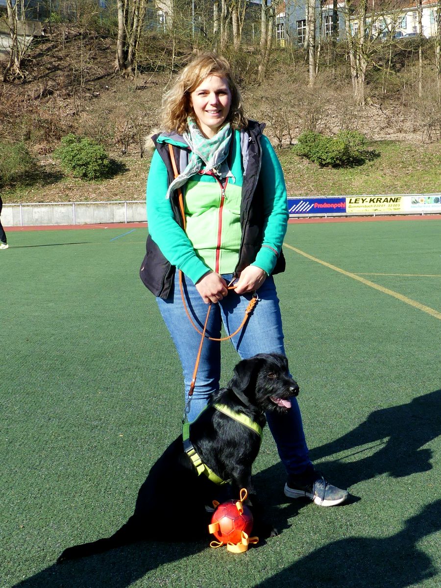 Schulhund – RS Gummersbach-Hepel